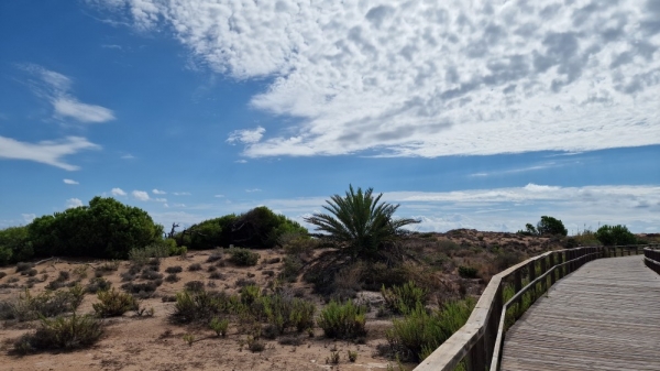 Las Mejores Playas de Elche | Recomendaciones para disfrutar las Playas ...